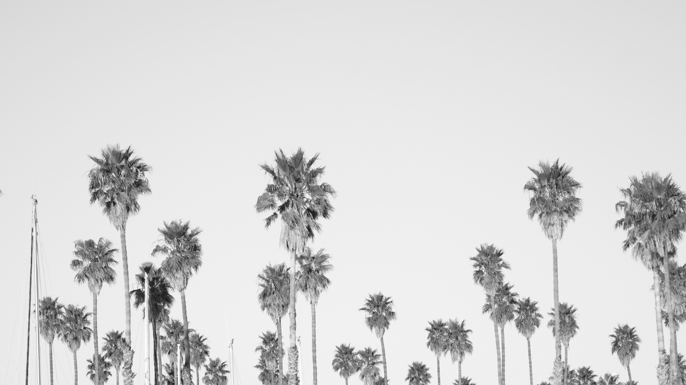 Trilogy Analytics | Contact Us